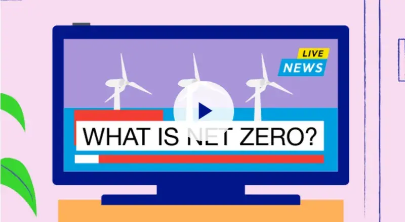 What Is Net Zero National Grid